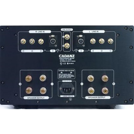 I-040 JUNGSON JA-99D Deluxe Version Pure Class A 100W x 2 HI-END ...