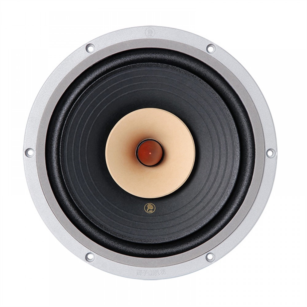 LII AUDIO HIFI FAST-10 full frequency speaker 10 inch 8ohm/40-60W unit ...