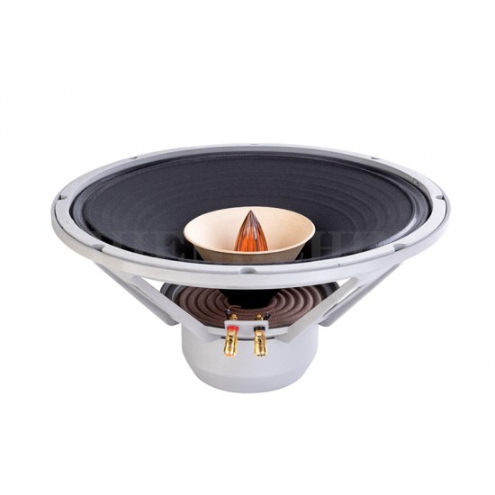 LS-07 Lii Song 15-inch Full Range Speaker Driver | Fast High and Scaled ...